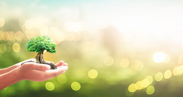 ENVIRONMENTAL LAWS IN INDIA Rishabh Gandhi And Advocates environmental-laws-in-india-rishabh-gandhi-and-advocates